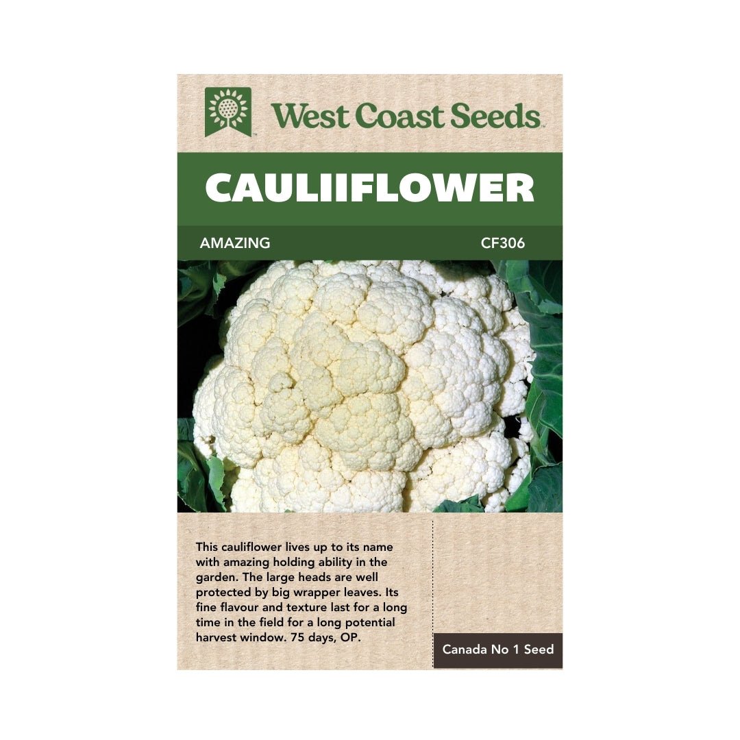 Amazing Cauliflower Seeds