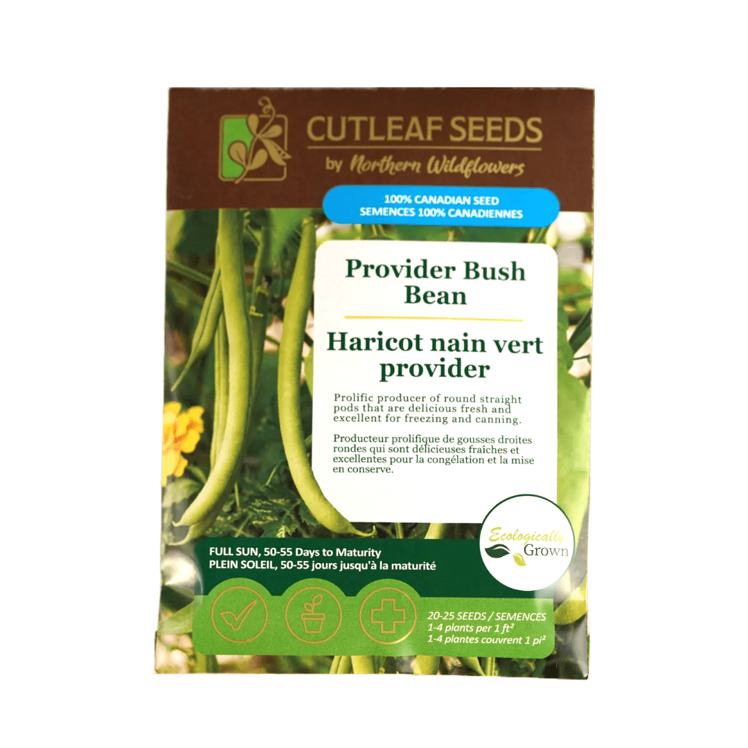 Provider Bush Bean Seeds