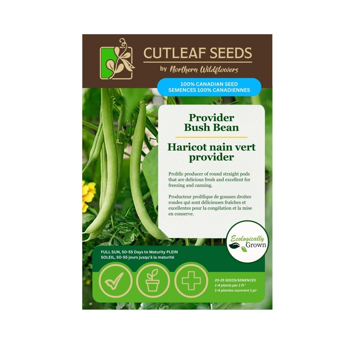 Provider Bush Bean Seeds