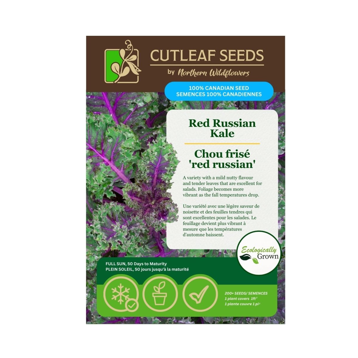 Red Russian Kale Seeds