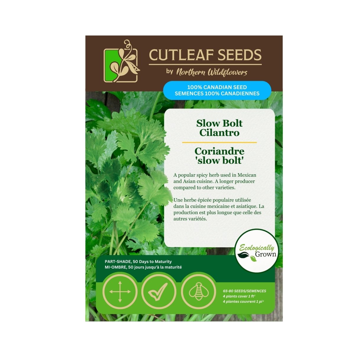 Slow Bolt Cilantro Seeds