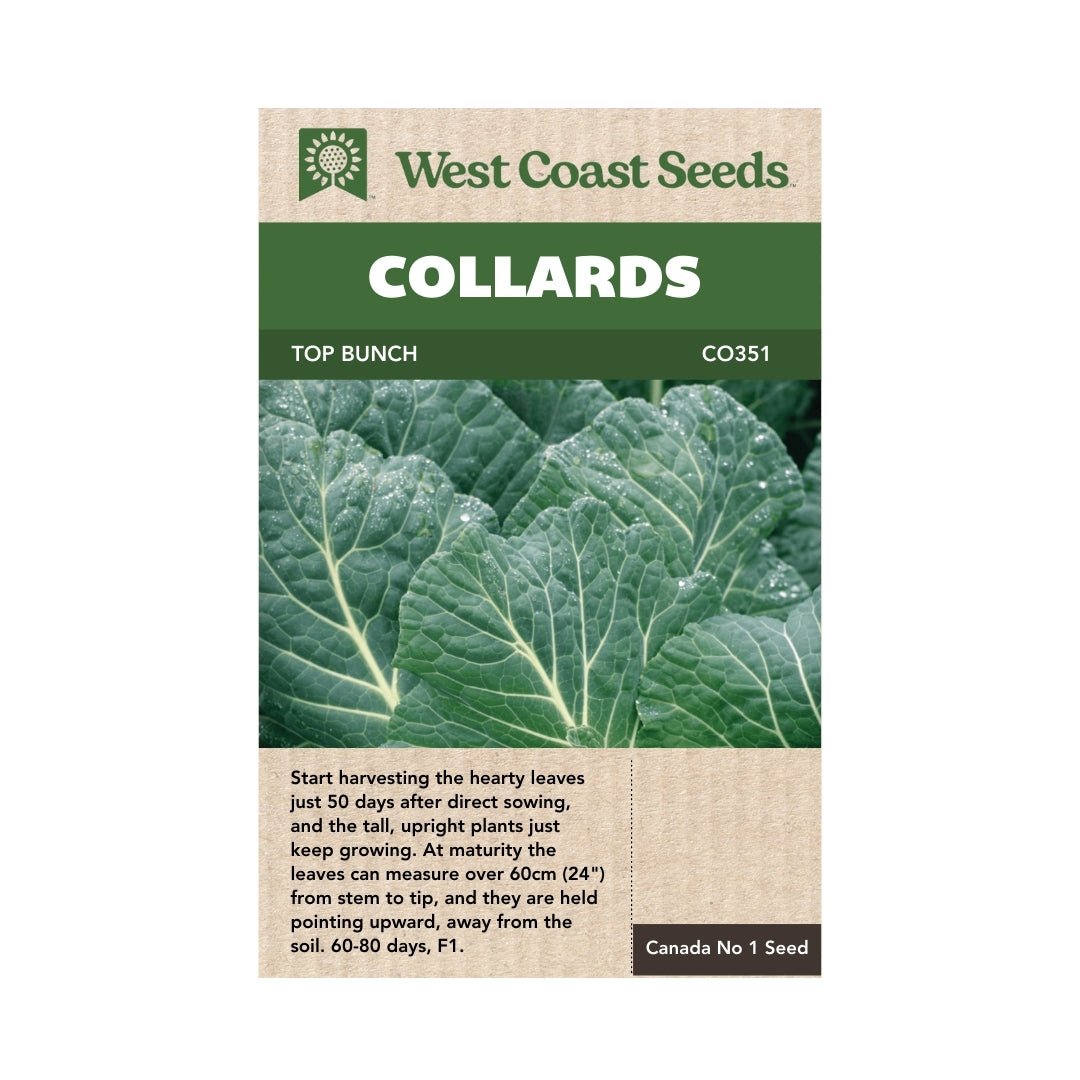 Top Bunch 2.0 Collards Seeds