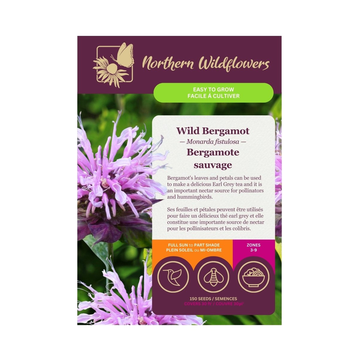 Wild Bergamot Seeds