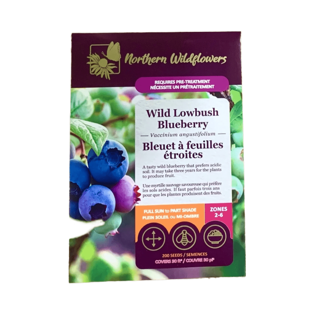 Wild Lowbush Blueberry Seeds