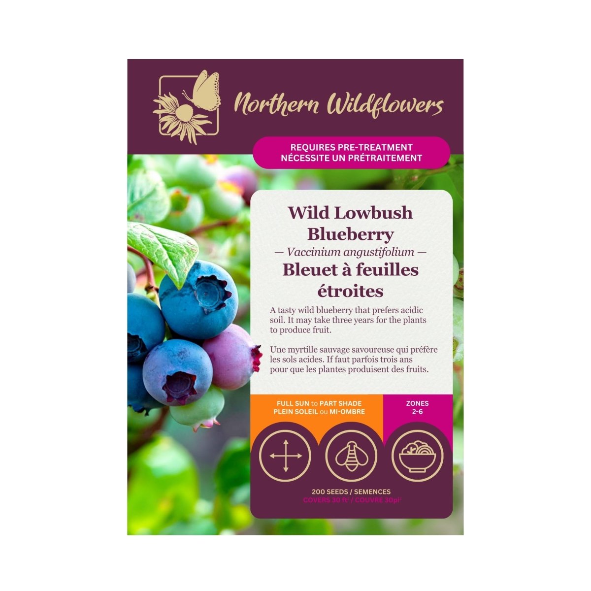 Wild Lowbush Blueberry Seeds