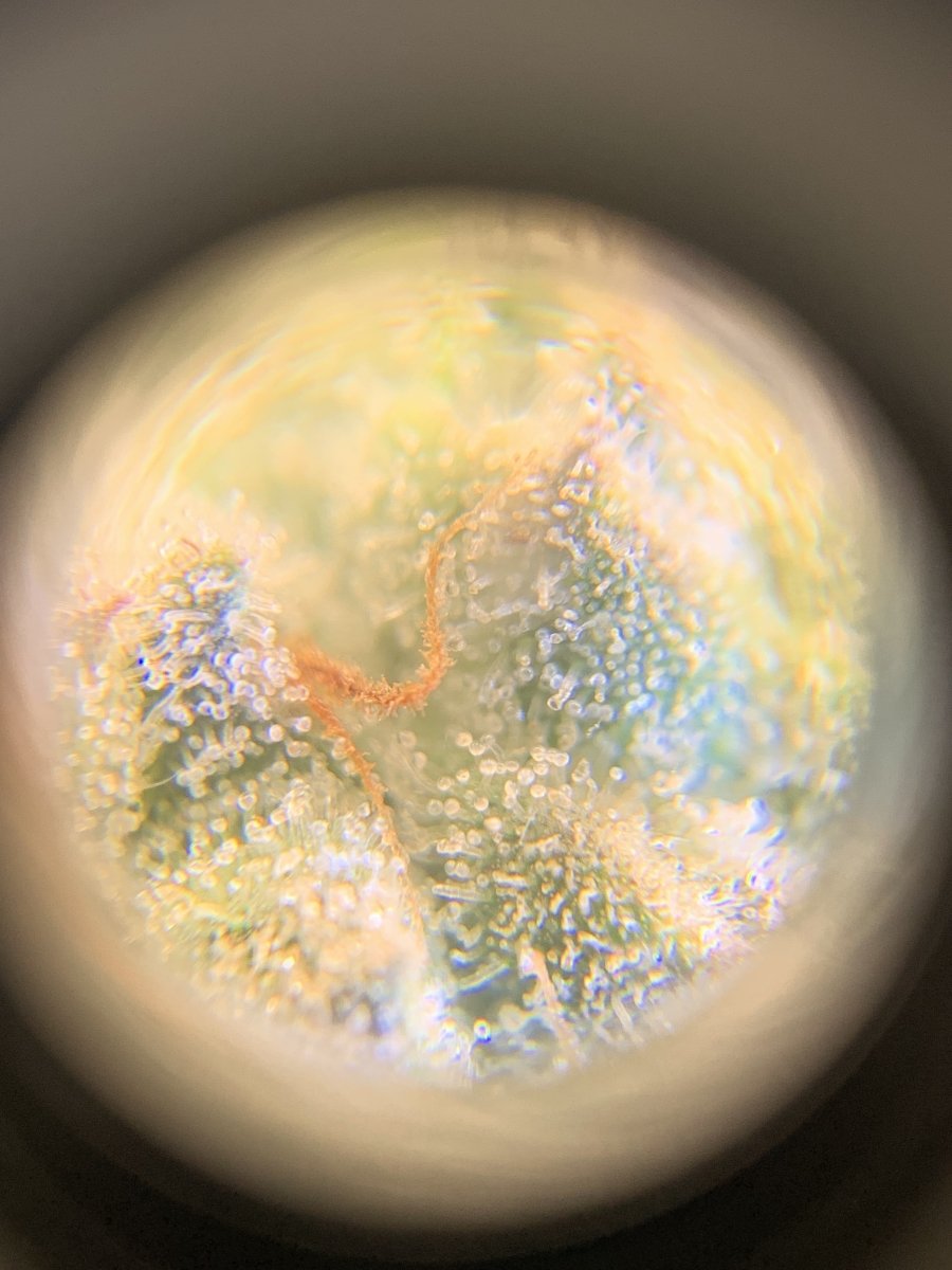 Active Eye Universal Phone Microscope 60X