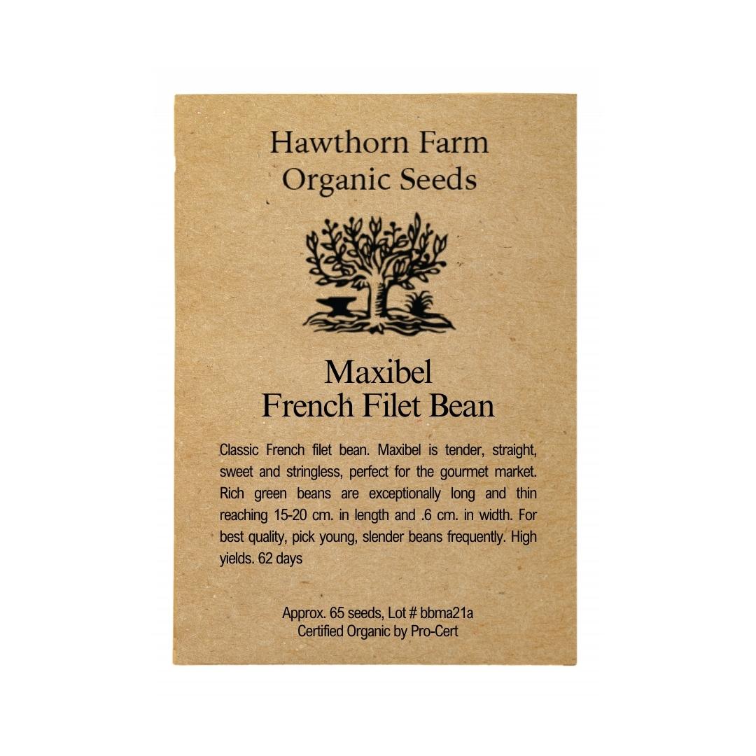 Maxibel French Filet Bean Seeds