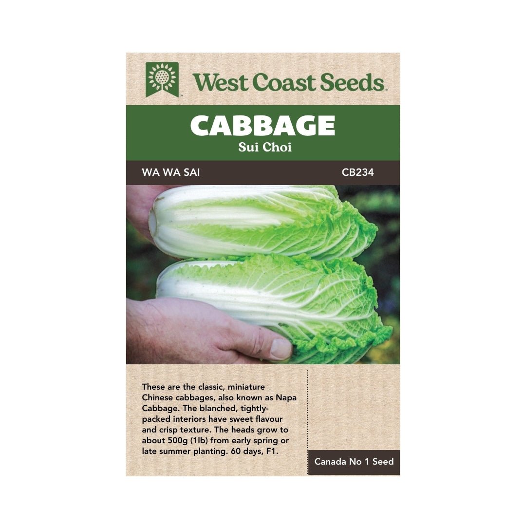 Wa Wa Sai Cabbage Seeds