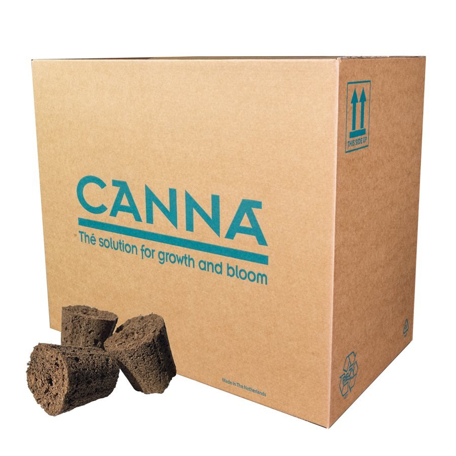 Canna Rootplugs - Fermier d'intérieur
