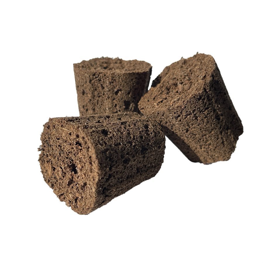 Canna Rootplugs - Fermier d'intérieur