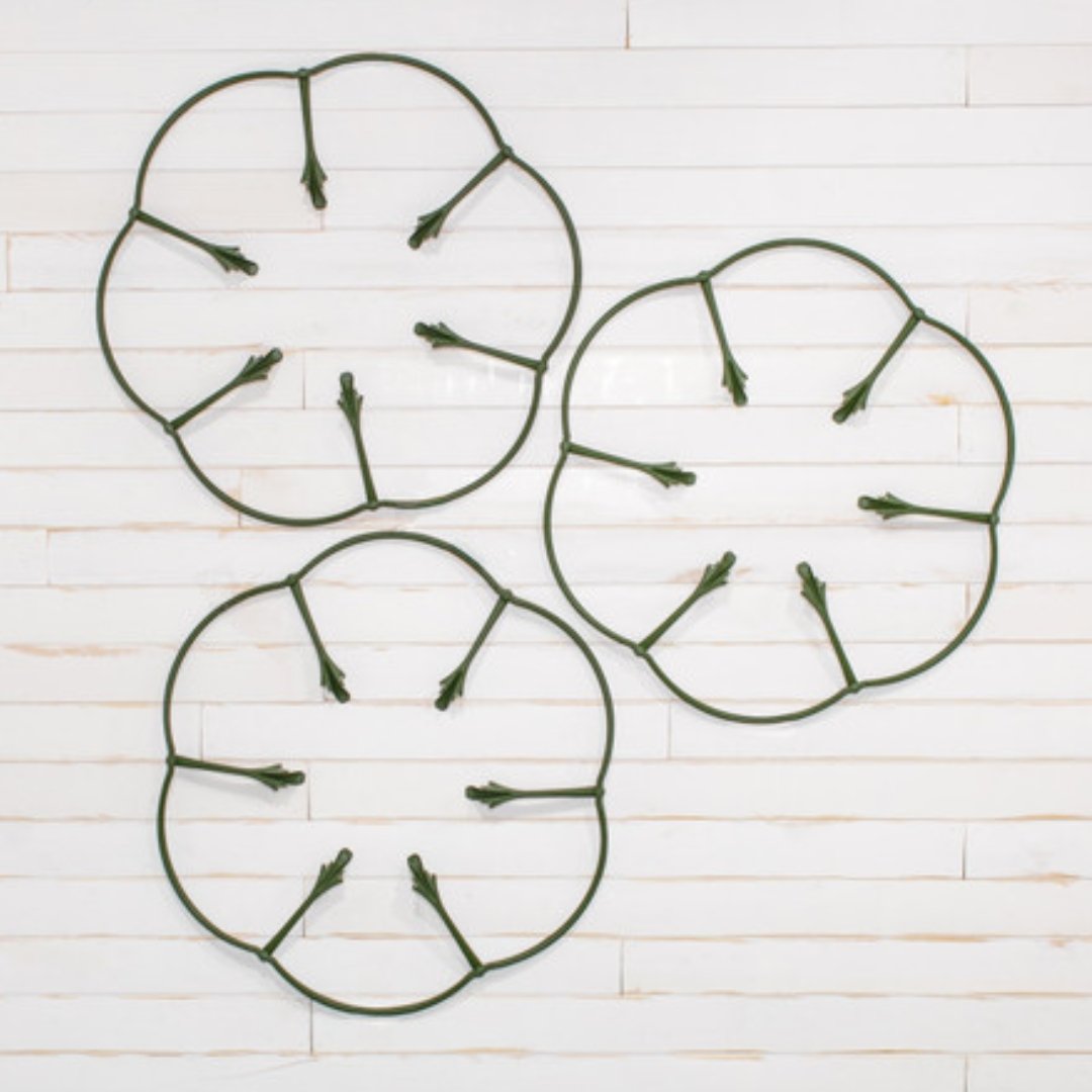 GreenStalk Plant Support - Set of 3