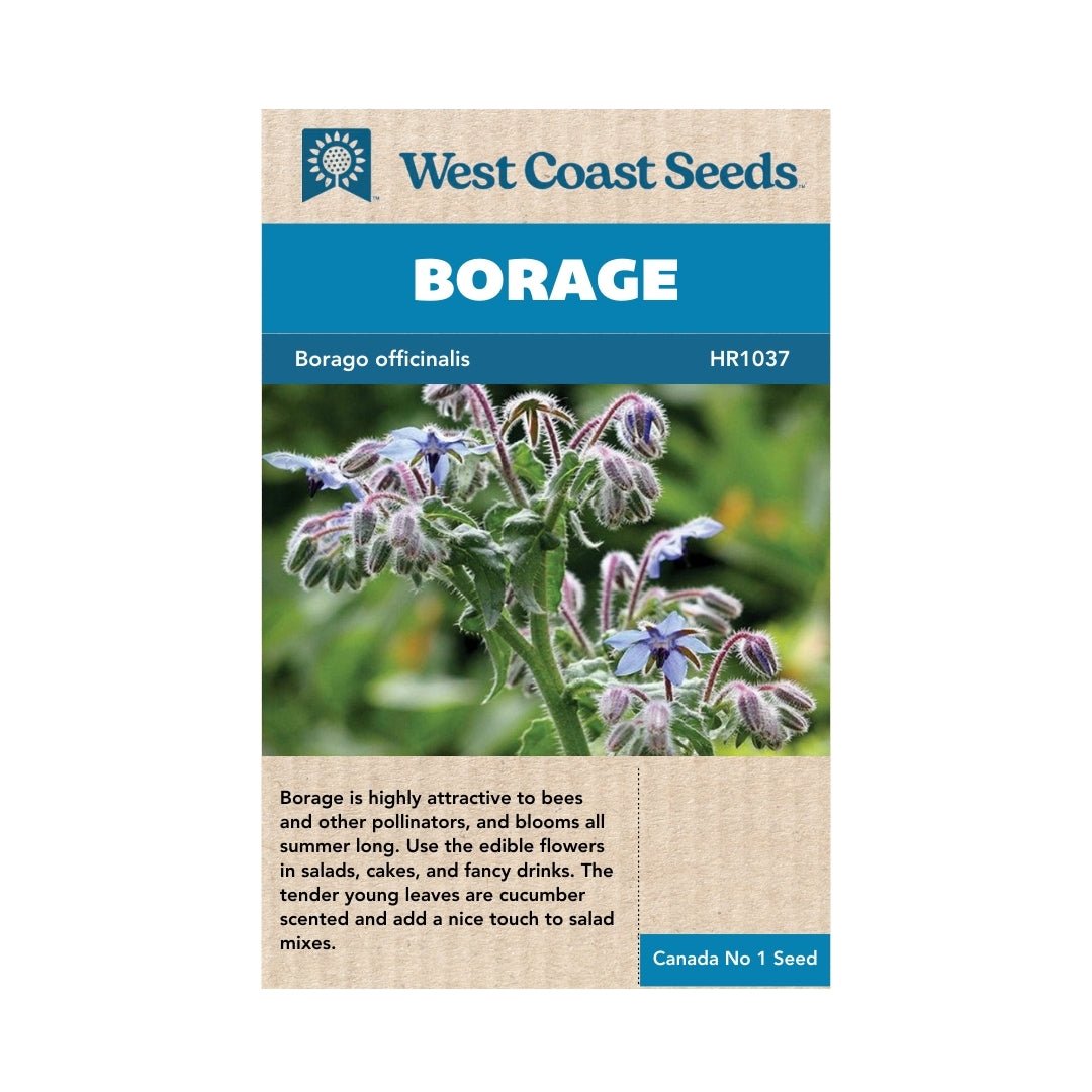 Borage Seeds