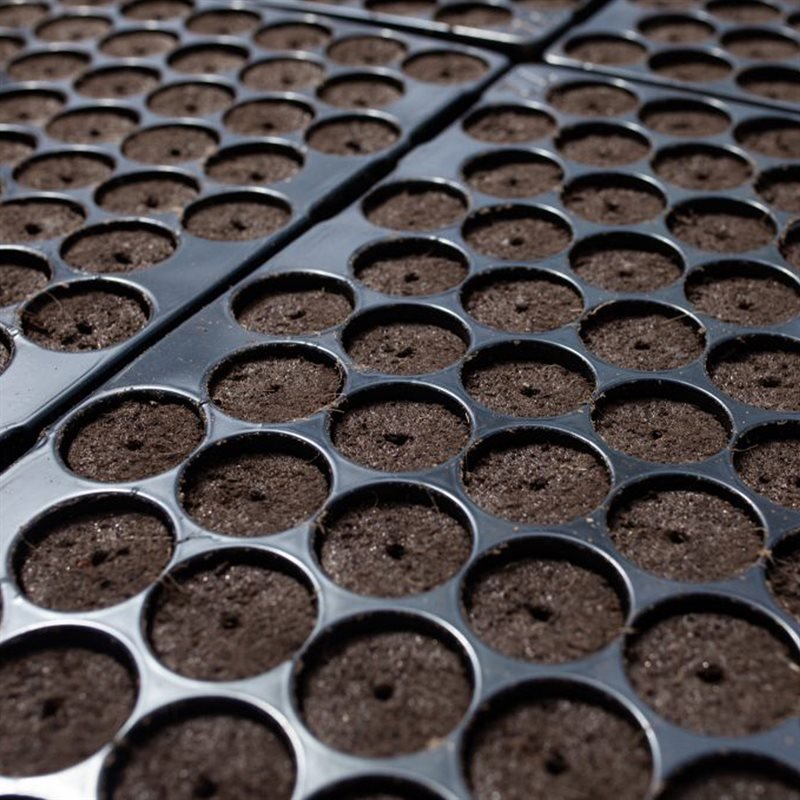 Jiffy Preforma Landmark 72 Cell Round