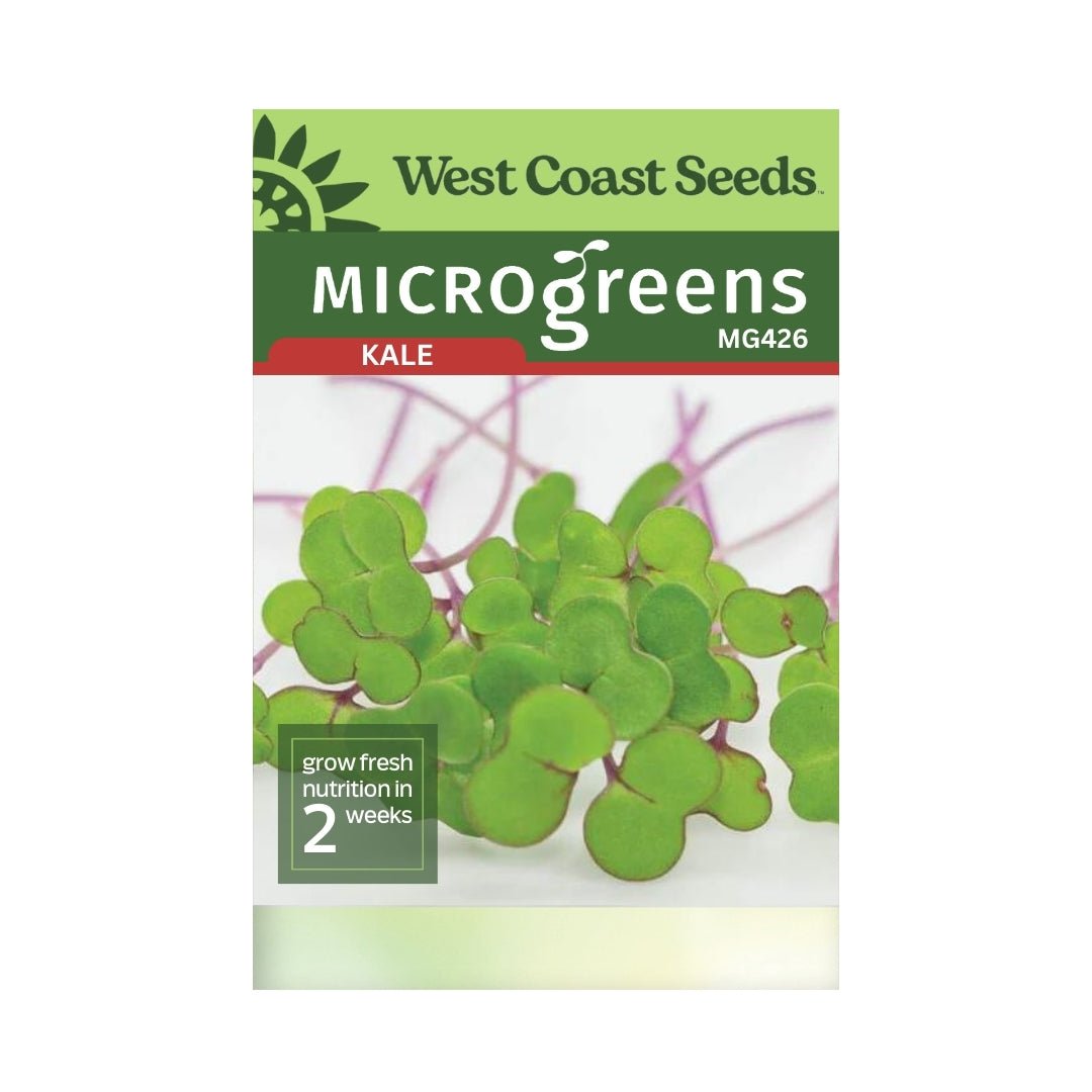 Microgreen Pac Choi Seeds