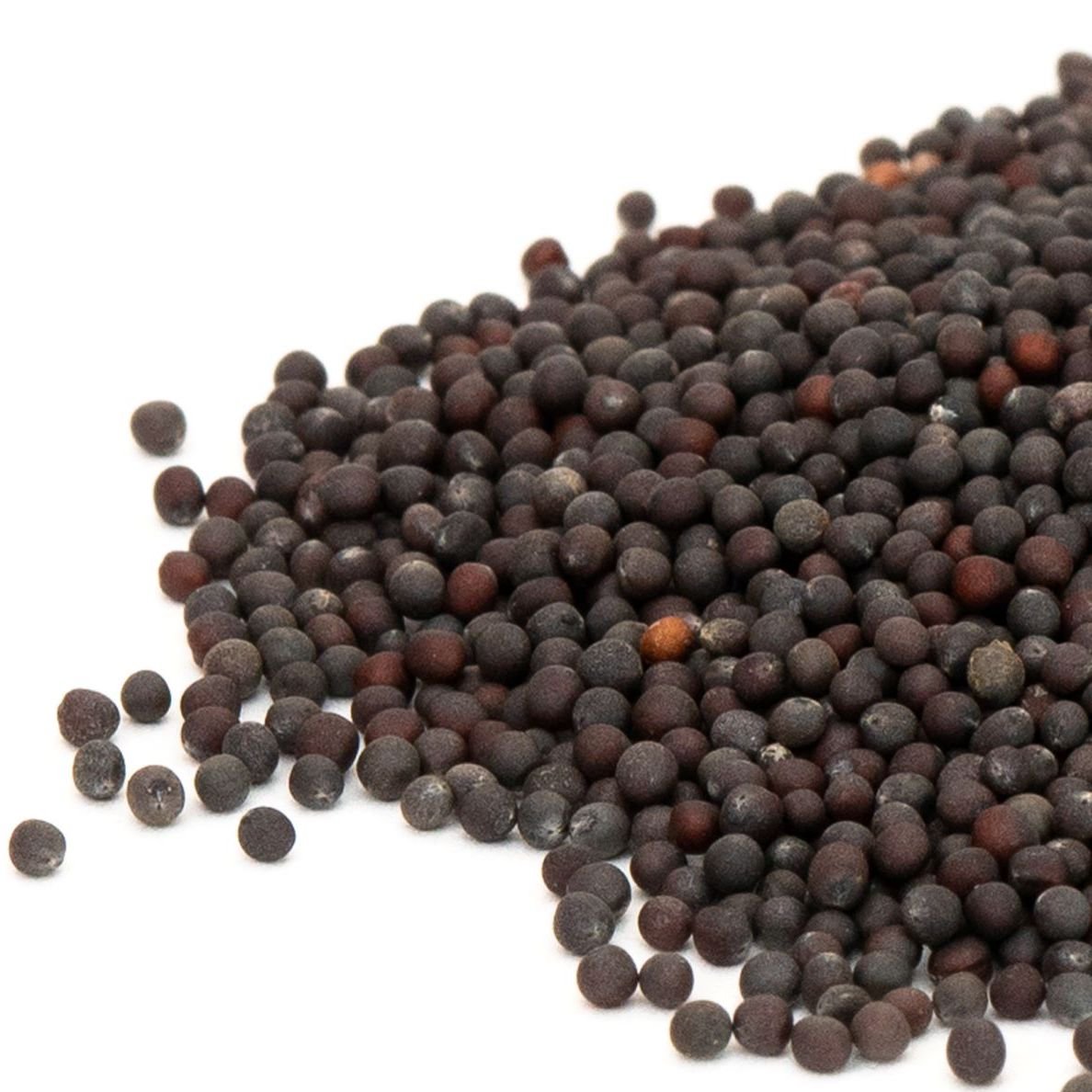 Mumm's Sprouting Seeds Bok Choy (Pac Choi)