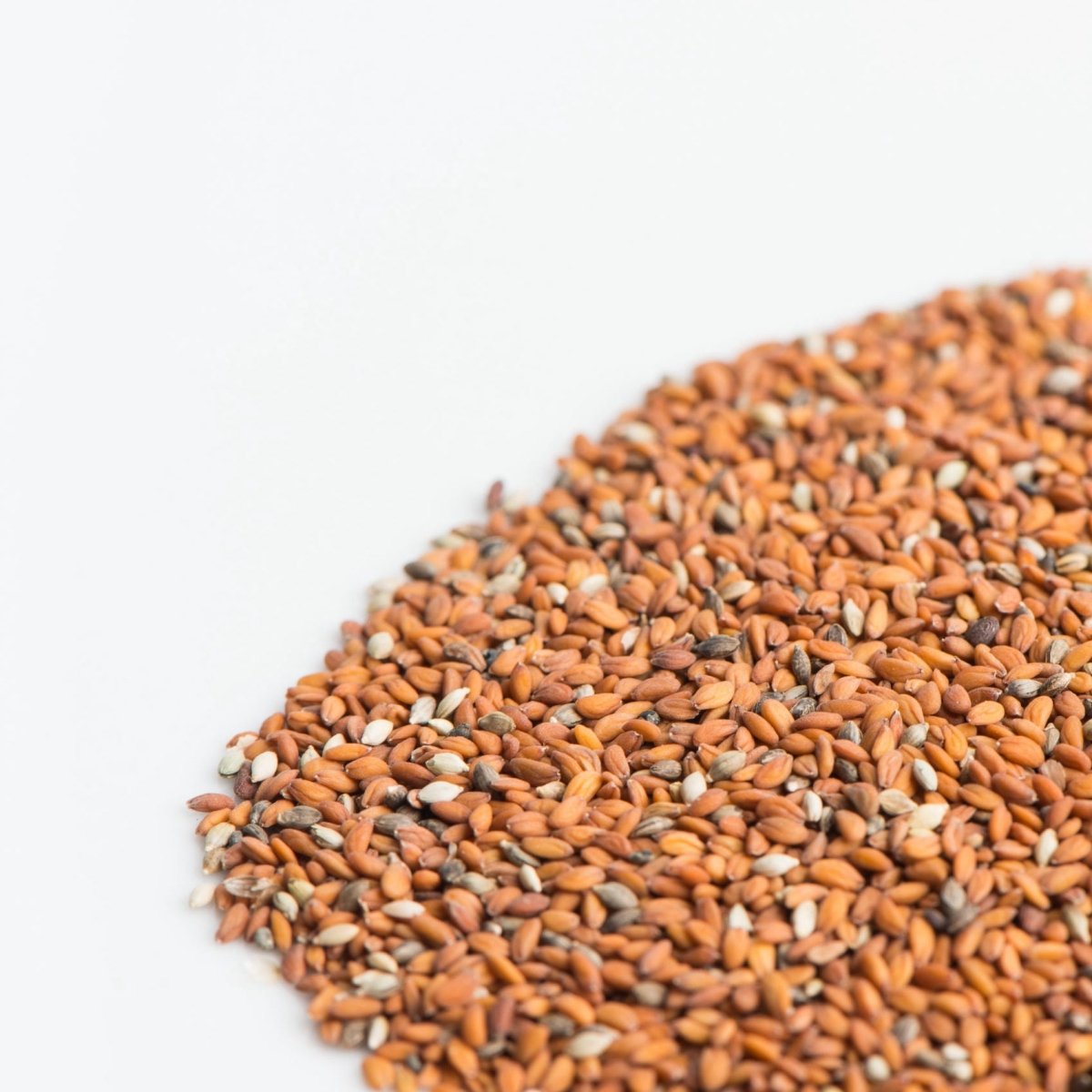 Mumm's Sprouting Seeds Curly Cress (Garden Cress)