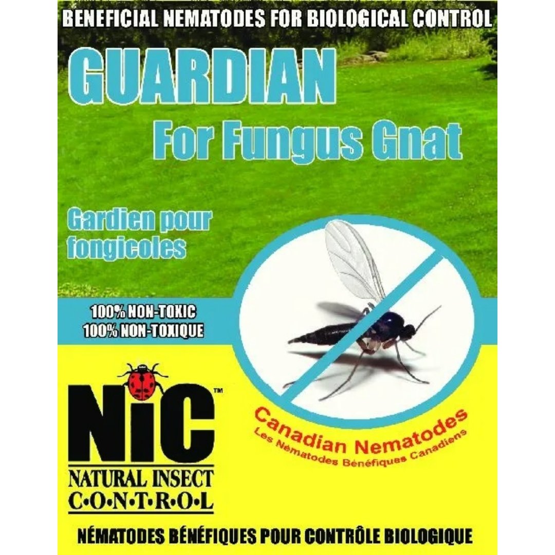 Natural Insect Control Guardian for Fungus Gnat (Small)