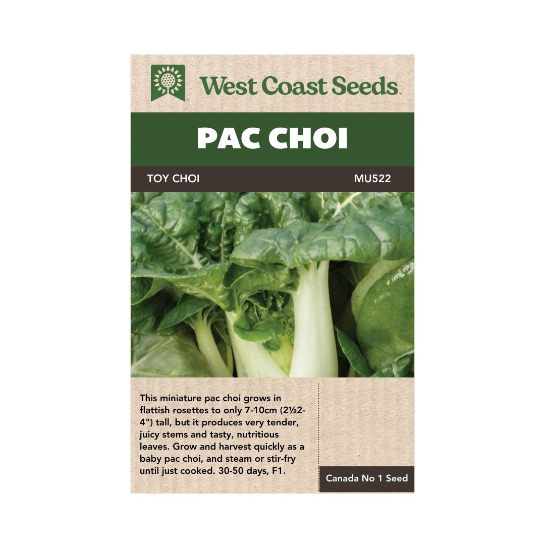 Toy Choy Pac Choi Seeds