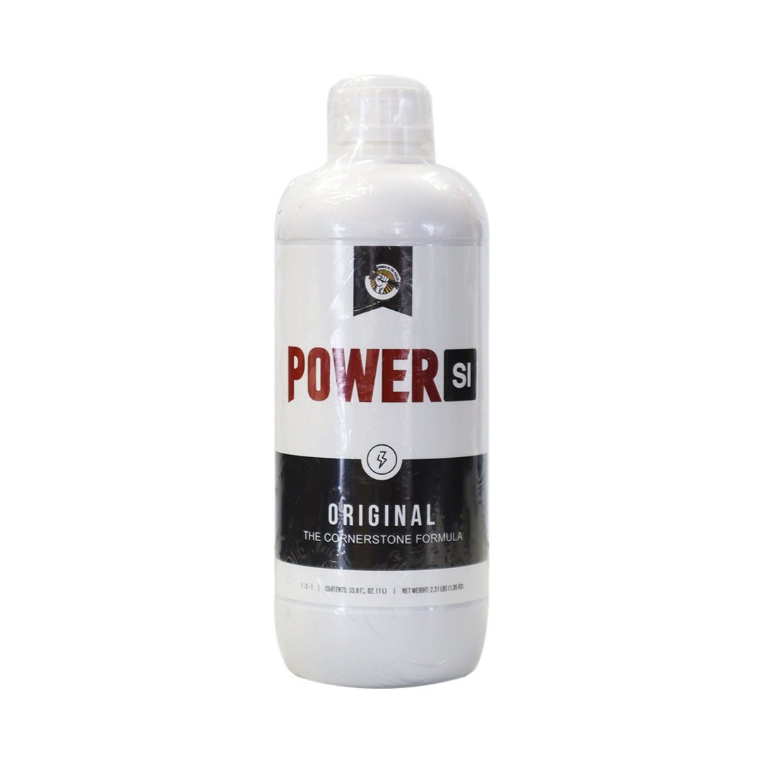 Power Si Original Silicic Acid