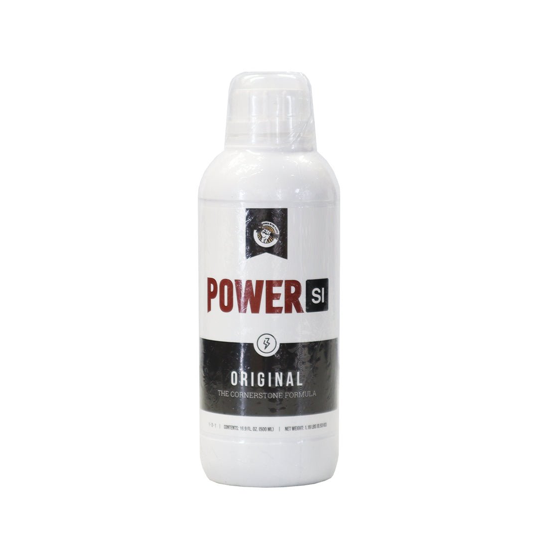 Power Si Original Silicic Acid